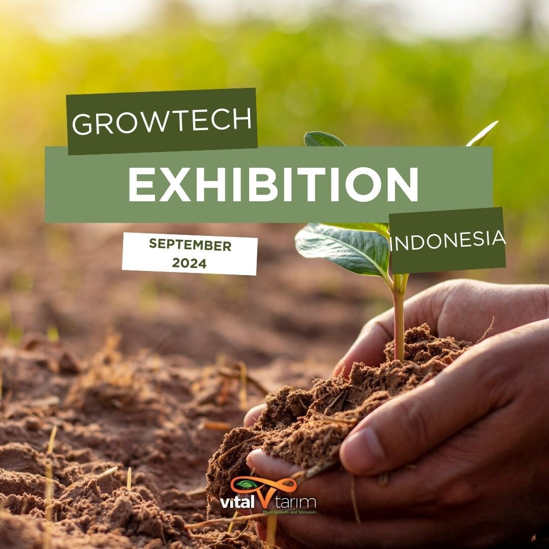 GROWTECH ENDONEZYA FUARINDAN 2024 - Vital Tarım